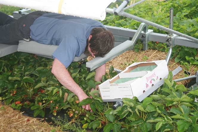 5 Ways CropCare Improves Ag - CropCare