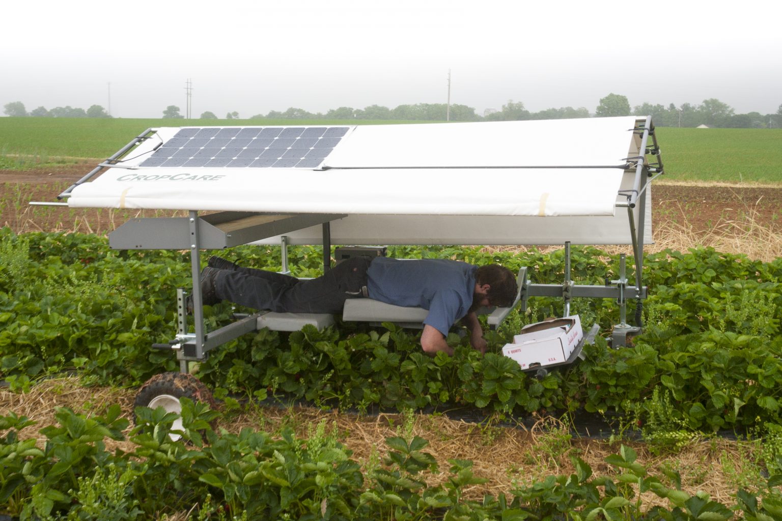 CropCare® | Ag Sprayers