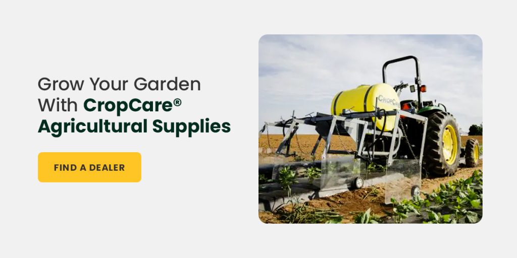 Best Crops for Beginners | CropCare