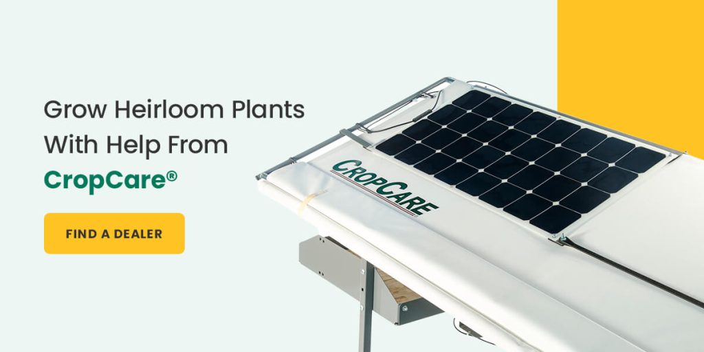 What Are Heirloom Plants? | CropCare