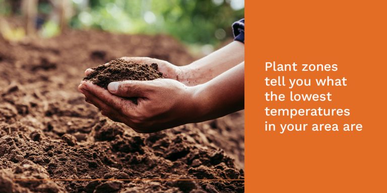 Best Crops for Each Hardiness Zone in the US | CropCare